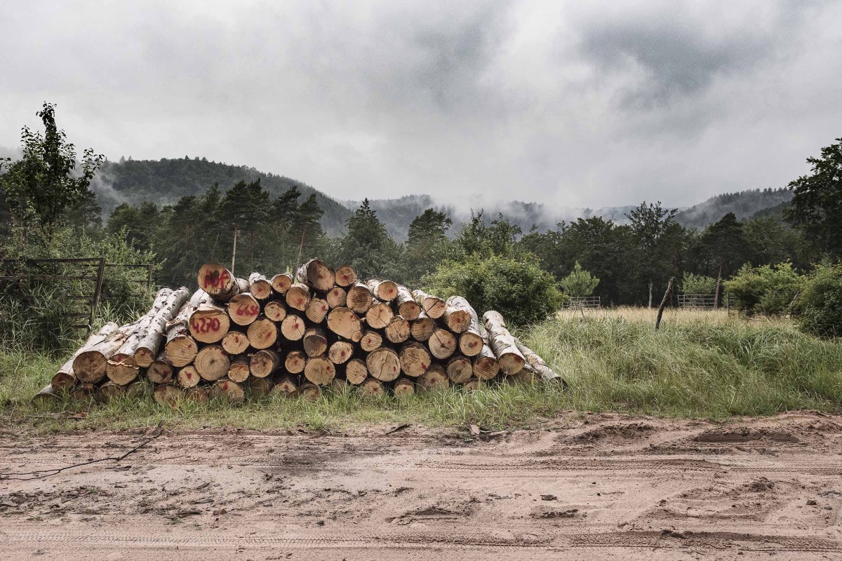 Zurück zum Rohstoff Holz | HORNBACH