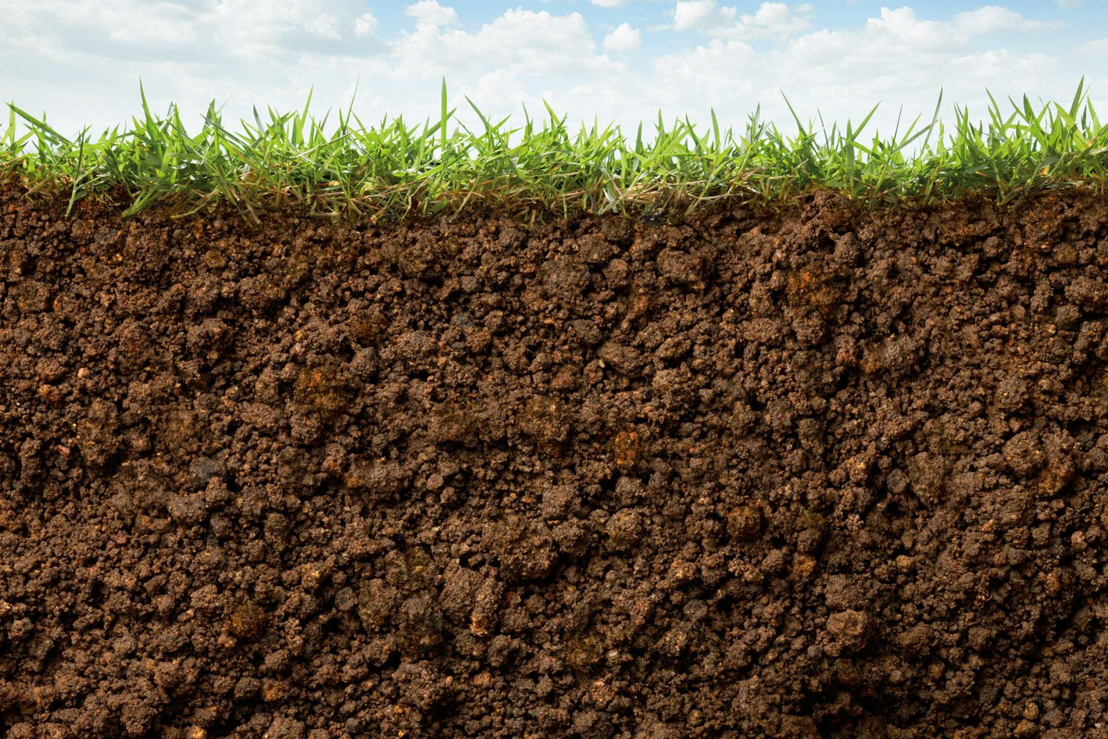 Bodenverbesserung im Garten | HORNBACH