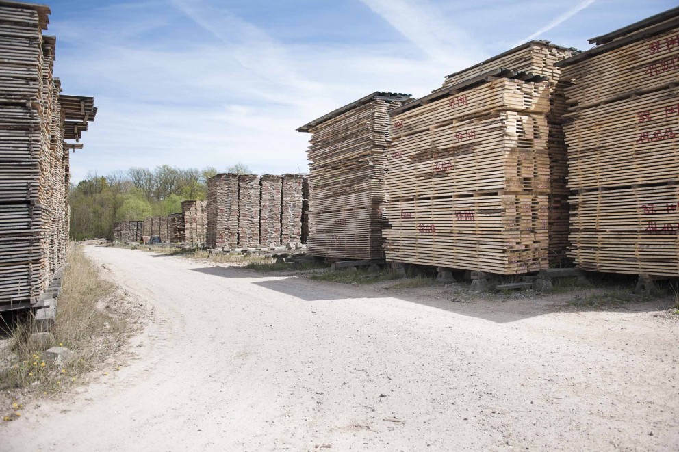 Zurück zum Rohstoff Holz | HORNBACH