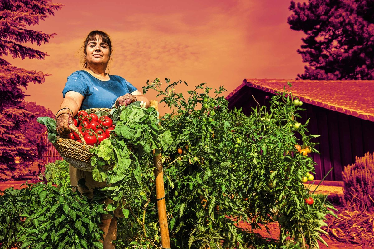 So geht Projekt: Selbstversorger | HORNBACH