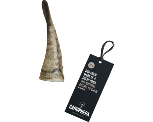 Hundespielzeug CANOPHERA Hundekauhorn vom Schaf XS 200 x 30 | HORNBACH