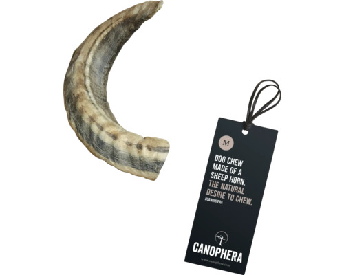 Hundespielzeug CANOPHERA Hundekauhorn vom Schaf M 300 x 30 | HORNBACH