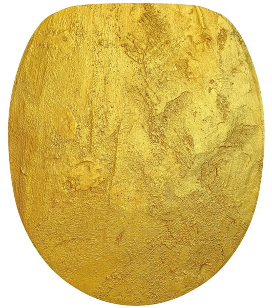 WC-Sitz mit Absenkautomatik Gold | HORNBACH